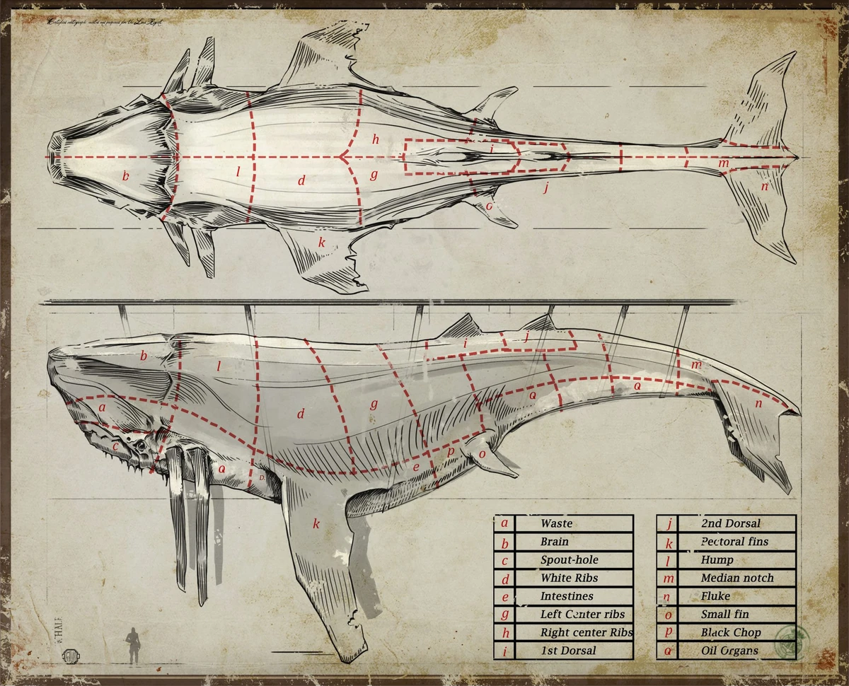 Whale Vivisection | Dishonored Wiki | Fandom