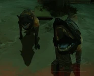 Wolfhounds | Dishonored Wiki | Fandom
