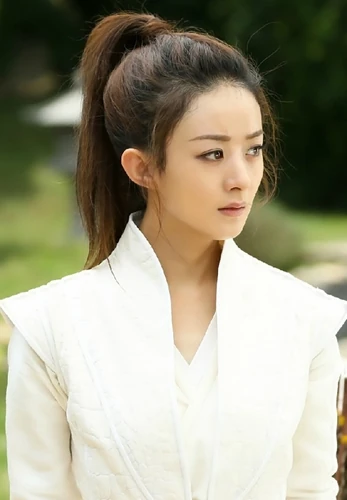 Liu Meiying | Disillusion Wiki | Fandom