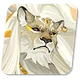 Javid (Shamash) | Dislyte Wiki | Fandom