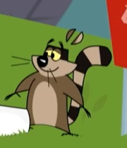 Raccoons (Robin Hood) | Disney Animal Characters Wiki | Fandom
