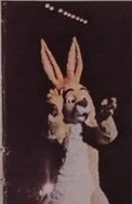 Rabbit | Tony's Gallery of Disney Character Costumes Wiki | Fandom