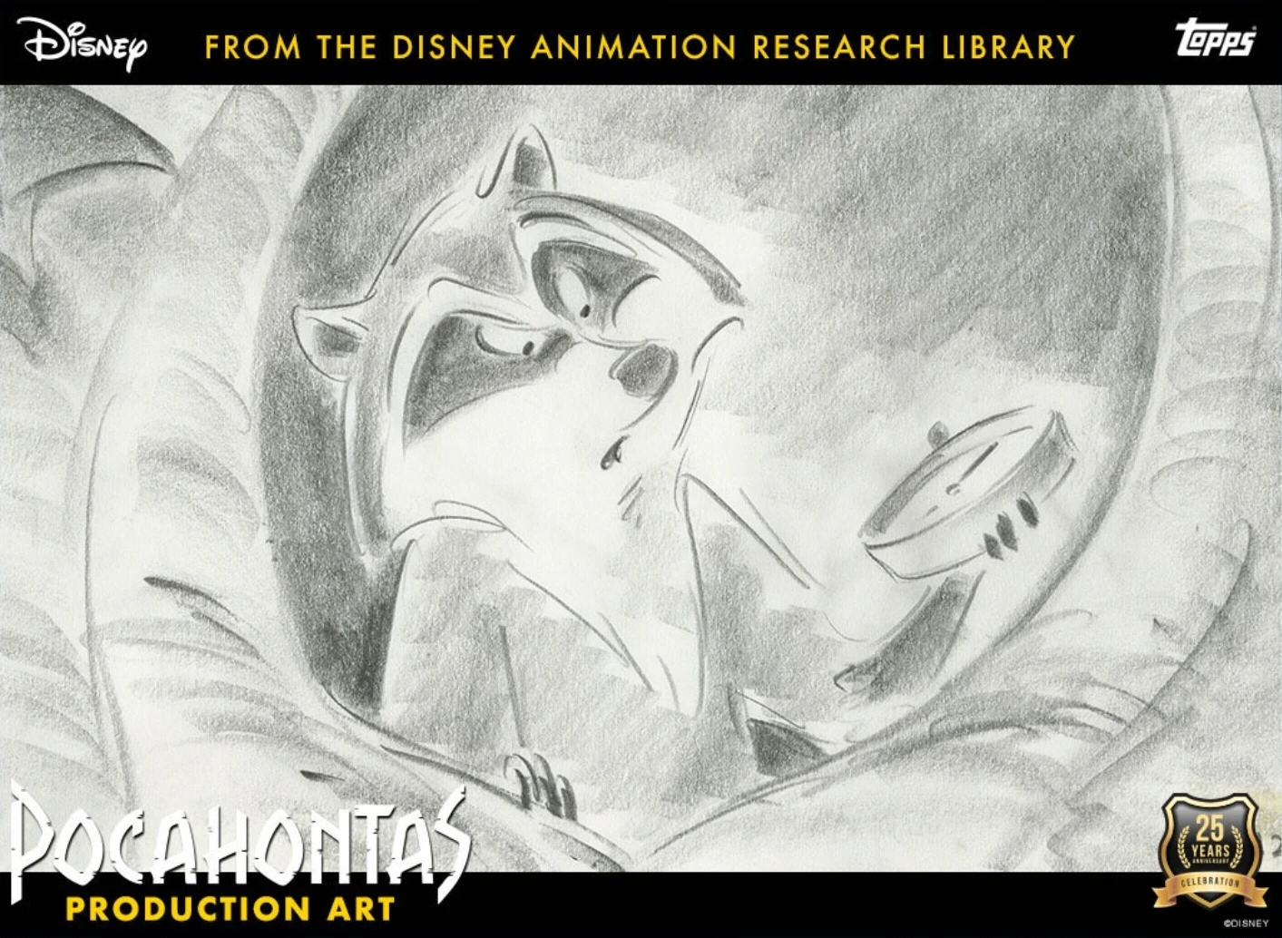 5821 - Meeko | Disney Collect! by Topps Wiki | Fandom