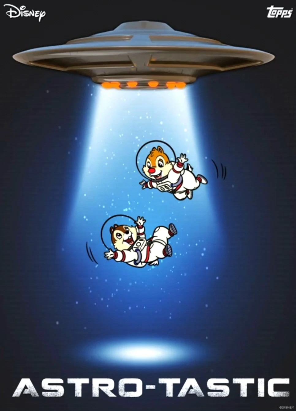 16748 - Chip and Dale | Disney Collect! by Topps Wiki | Fandom