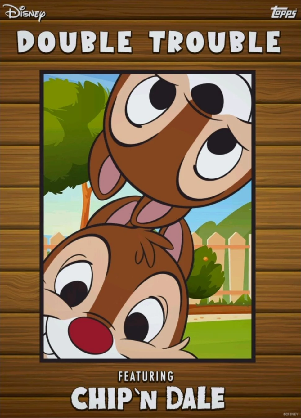 31575 - Chip 'n Dale Closeup (Award) | Disney Collect! by Topps Wiki ...