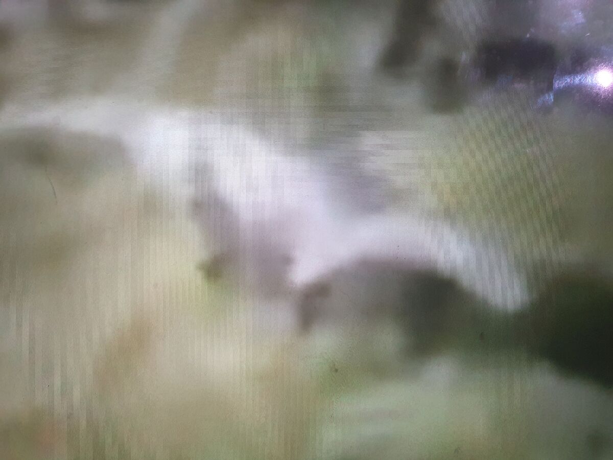 Chris | Disney Dinosaur Wiki | Fandom