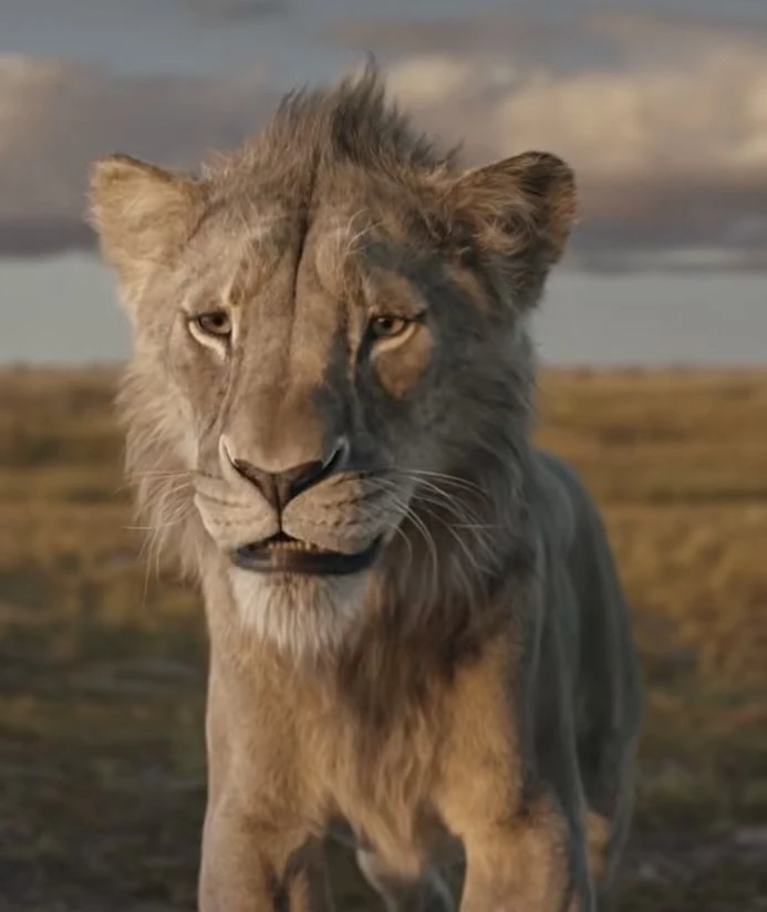 Binamu | Disney Fan Fiction Wiki | Fandom