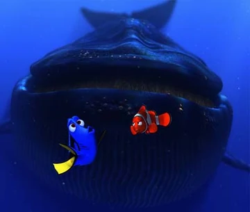 whale finding nemo