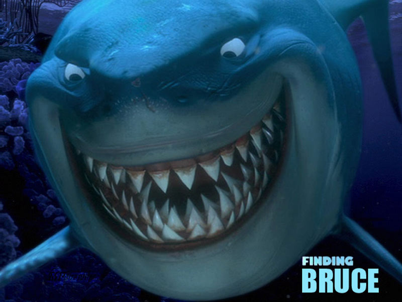 Finding Nemo Bruce Quotes