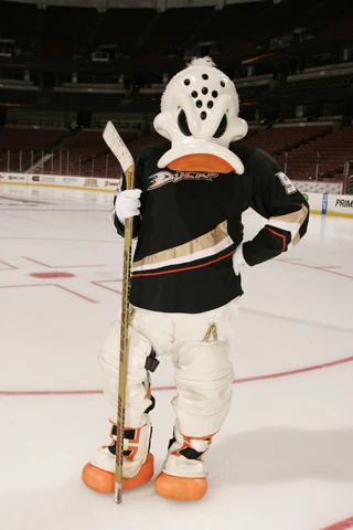 Mighty Ducks Wild Wing Flashblade