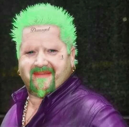 Guy Fieri | G-force Wiki | Fandom