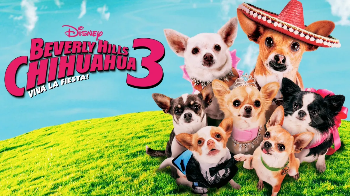 Beverly Hills Chihuahua 3: Viva la Fiesta | Disney Insight Wiki | Fandom