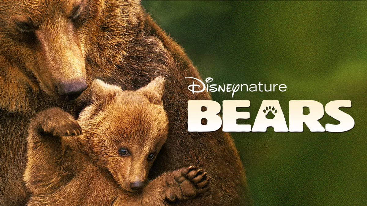 Bears | Disney Insight Wiki | Fandom