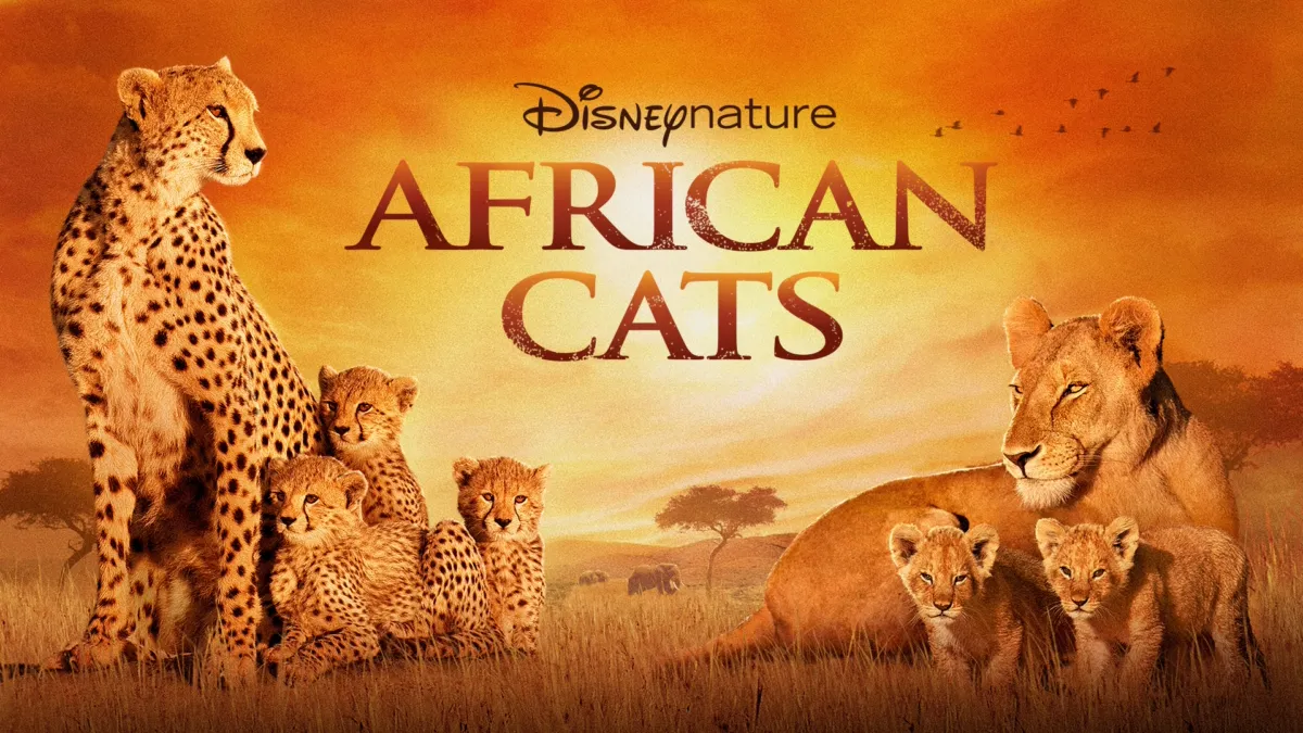 African Cats | Disney Insight Wiki | Fandom