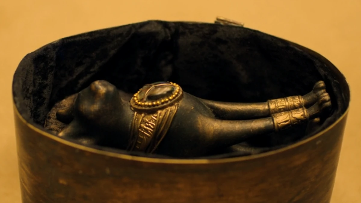 The Cat | Disney Intertwined Wiki | Fandom