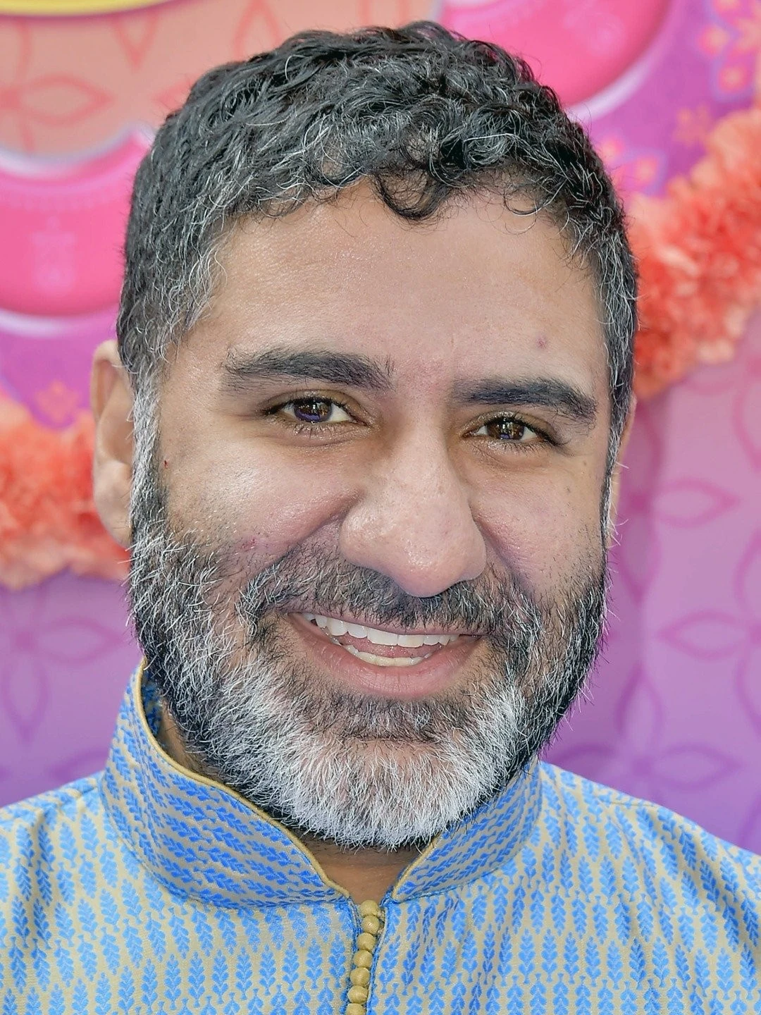 Parvesh Cheena | Disney Junior Ariel Wiki | Fandom