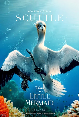 Scuttle | Disney Junior Ariel Wiki | Fandom