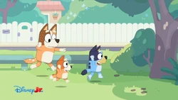 November 29, 2024 | Disney Junior Broadcast Archives Wiki | Fandom