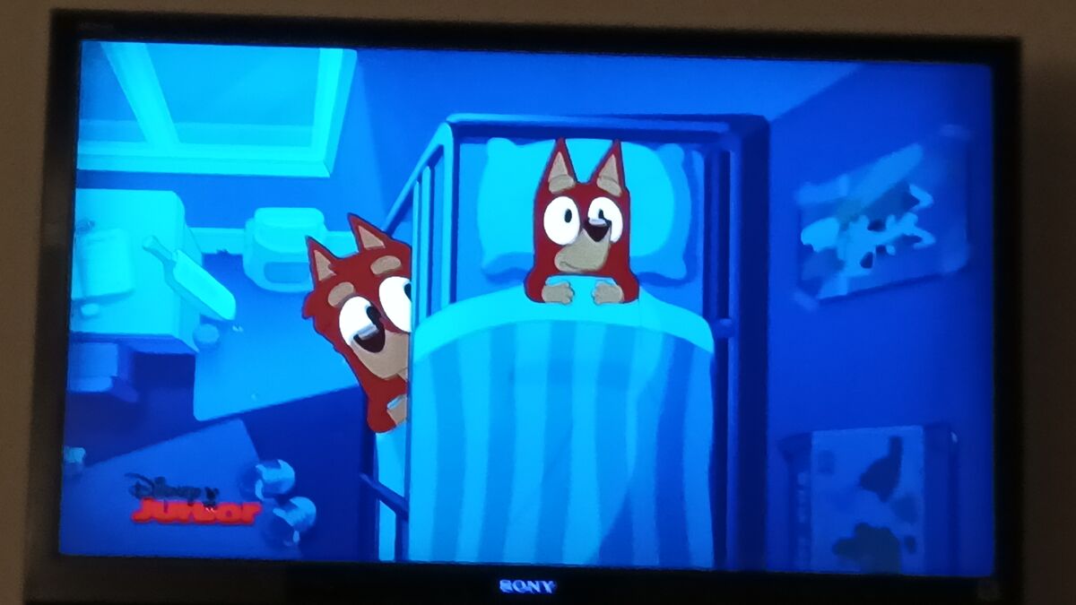 April 13, 2024 | Disney Junior Broadcast Archives Wiki | Fandom April 13, 2024 | Disney Junior Broadcast Archives Wiki | Fandom