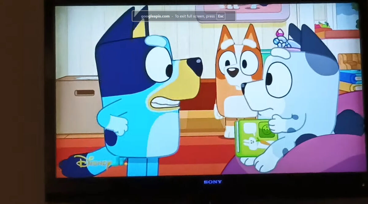 June 21, 2024 | Disney Junior Broadcast Archives Wiki | Fandom June 21, 2024 | Disney Junior Broadcast Archives Wiki | Fandom