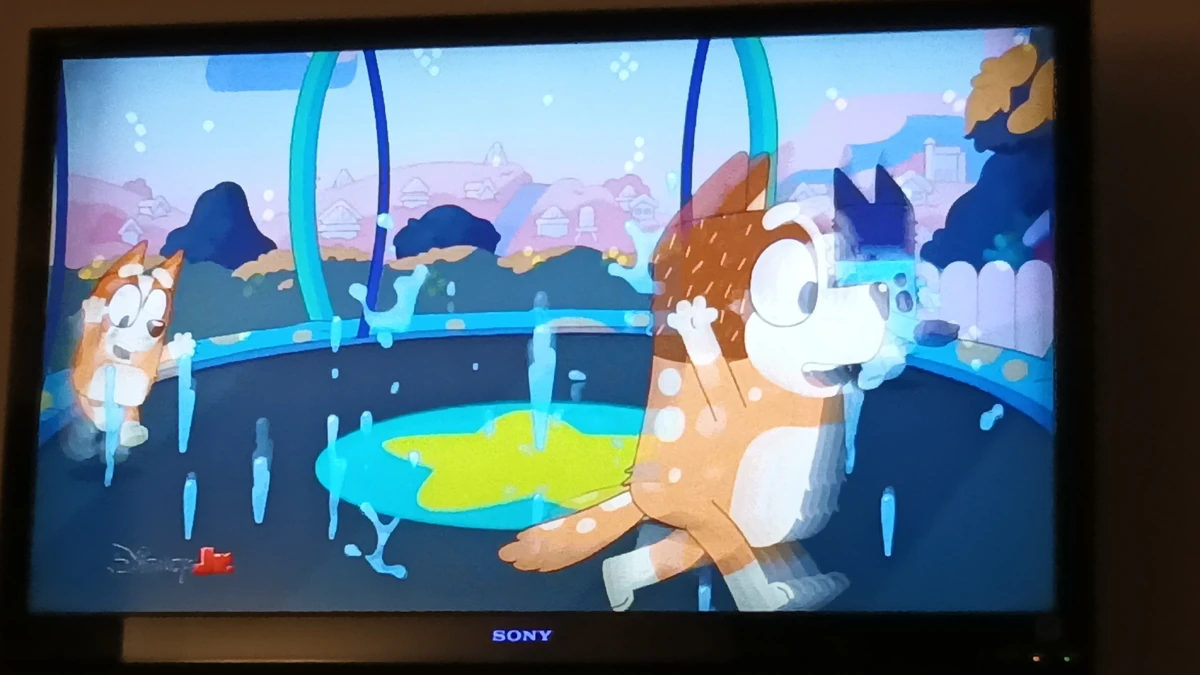 June 9, 2024 | Disney Junior Broadcast Archives Wiki | Fandom