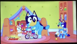 April 21, 2024 | Disney Junior Broadcast Archives Wiki | Fandom