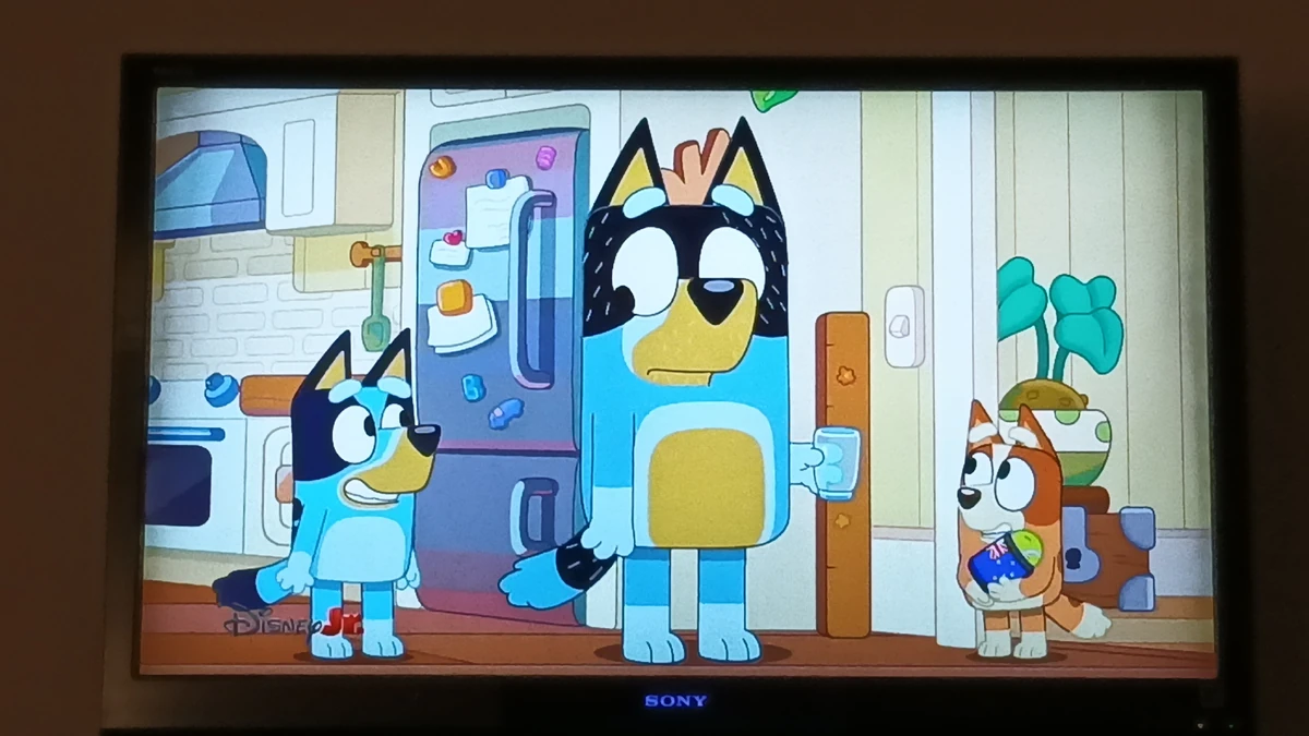 June 15, 2024 | Disney Junior Broadcast Archives Wiki | Fandom