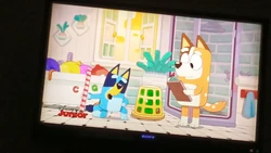 March 30, 2024 | Disney Junior Broadcast Archives Wiki | Fandom