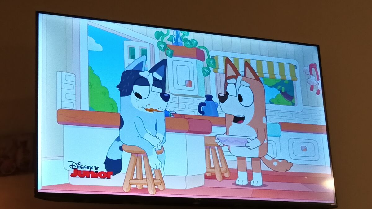 April 28, 2024 | Disney Junior Broadcast Archives Wiki | Fandom April 28, 2024 | Disney Junior Broadcast Archives Wiki | Fandom