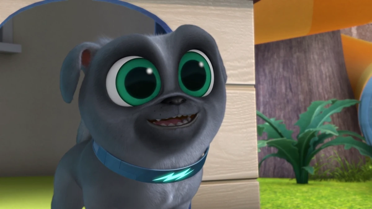 Bingo | Disney Junior Random Episodes Wiki | Fandom