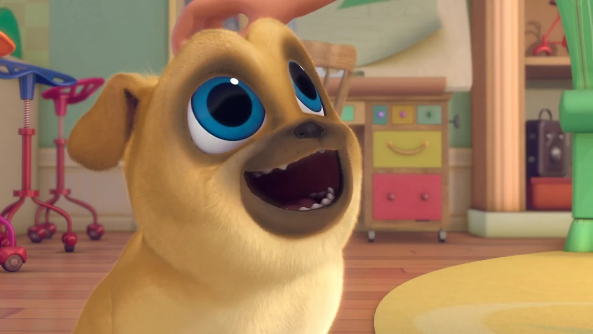 Rolly (pug) | Disney Junior Random Episodes Wiki | Fandom