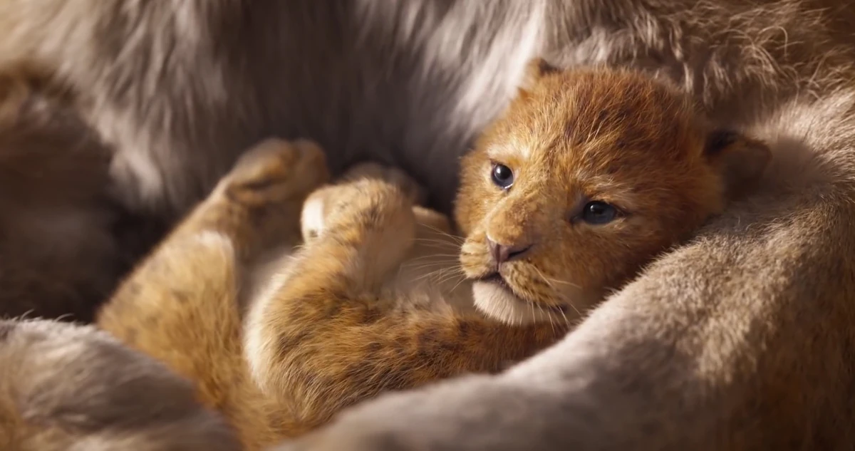 Simba/Gallery | Disney Live Action Remakes Wiki | Fandom