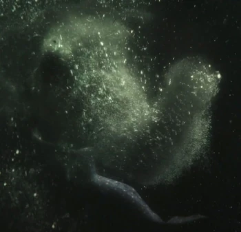 Heffalumps | Disney Live Action Remakes Wiki | Fandom