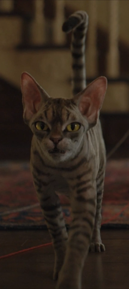 Devon and Rex | Disney Live Action Remakes Wiki | Fandom