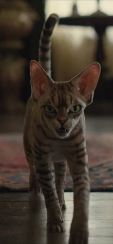 Devon and Rex | Disney Live Action Remakes Wiki | Fandom