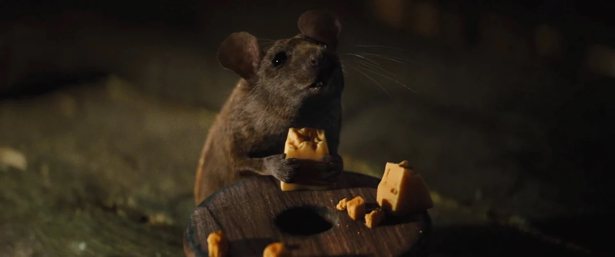 Cinderella (film)/Gallery | Disney Live Action Remakes Wiki | Fandom