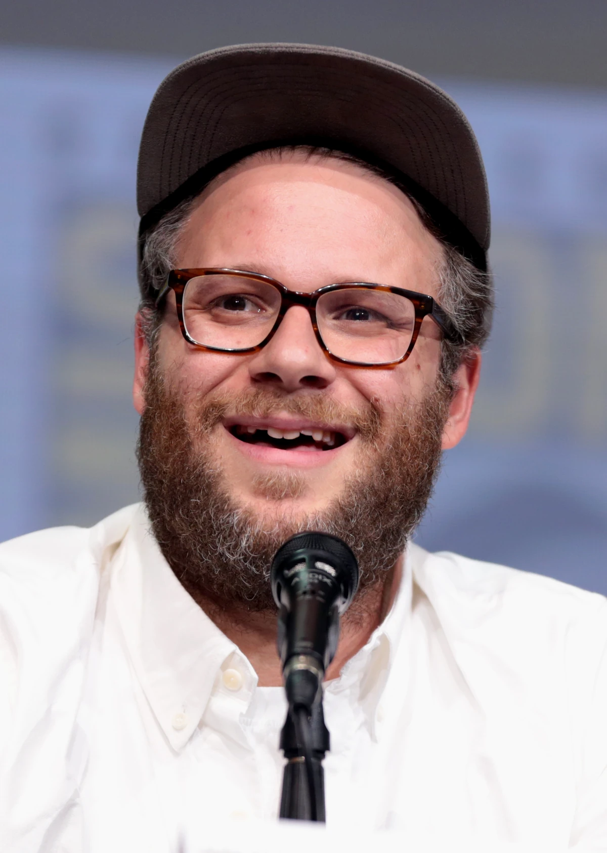Seth Rogen | Disney Live Action Remakes Wiki | Fandom