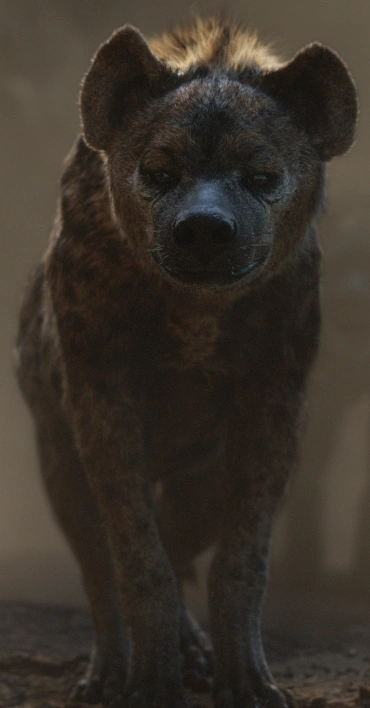 Shenzi | Disney Live Action Remakes Wiki | Fandom