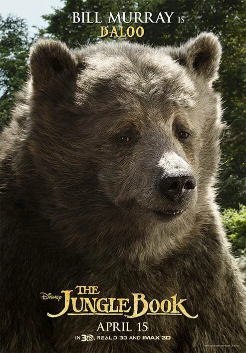 Baloo (2016) | Disney Live Action Remakes Wiki | Fandom