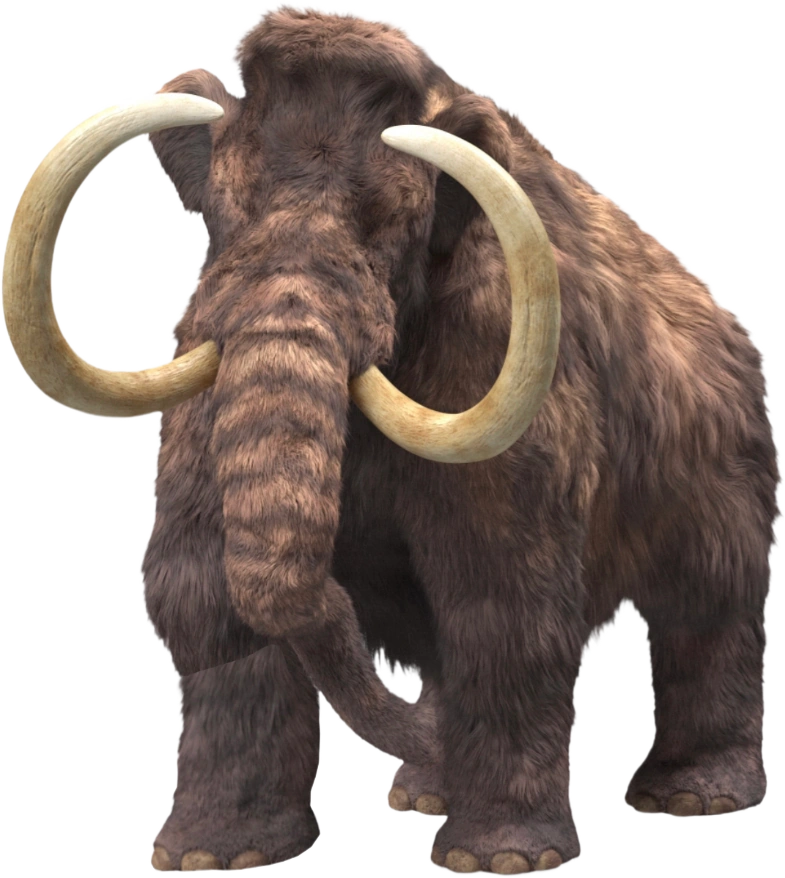 Manny | Disney Live Action/CGI Wiki | Fandom