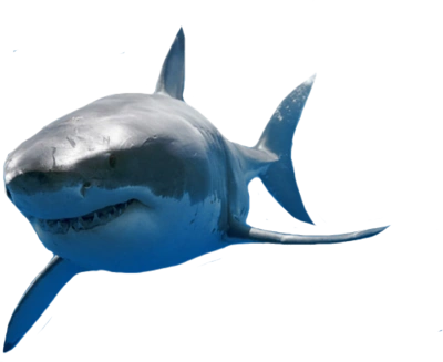 Bruce | Disney Live Action/CGI Wiki | Fandom