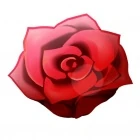 Ruby Red Rose | Disney Magical World Wiki | Fandom