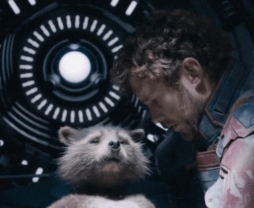 Rocket Raccoon Guardians Of The Galaxy Movie Gif