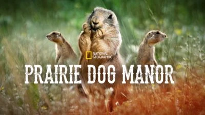 Prairie Dog Manor | Disney+ Australia Wiki | Fandom