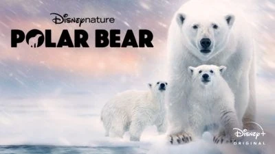Polar Bear | Disney+ Australia Wiki | Fandom