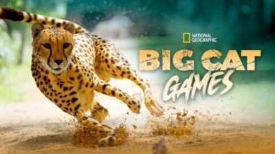 Big Cat Games | Disney+ Australia Wiki | Fandom