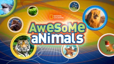 Awesome Animals | Disney+ Australia Wiki | Fandom