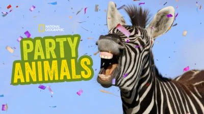 Party Animals | Disney+ Australia Wiki | Fandom
