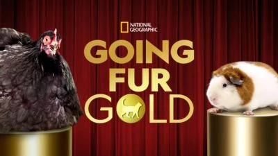 Going Fur Gold | Disney+ Australia Wiki | Fandom