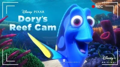 Dory's Reef Cam | Disney+ Australia Wiki | Fandom